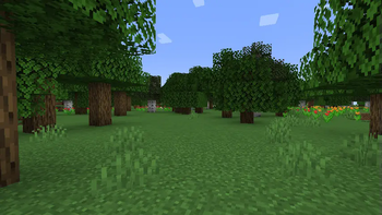 Скачать disable front camera — Minecraft Моды — MetaMods