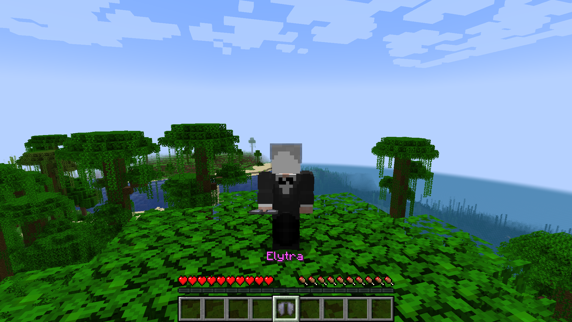 Скачать No Elytra Equip — Minecraft Моды — MetaMods