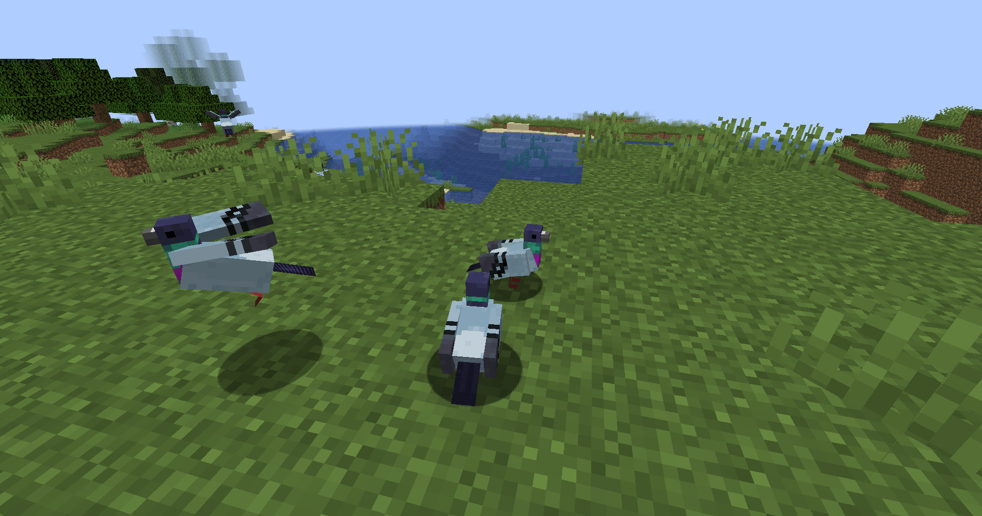 Download Pigeons — Minecraft Mods — MetaMods