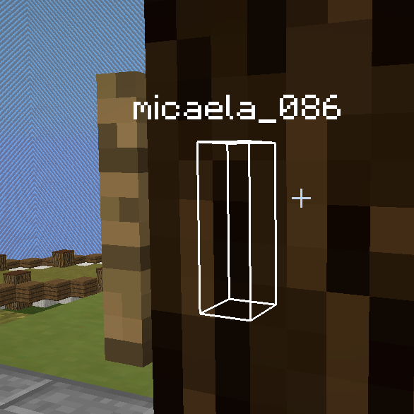 Download PlayerESP (Wallhack) — Minecraft Mods — MetaMods