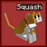 Скачать Squash Cat — Minecraft Ресурспаки — MetaMods