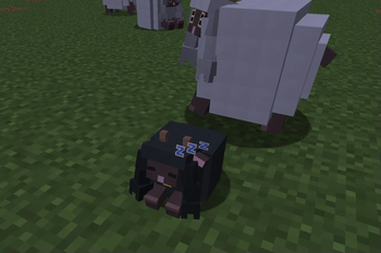 Скачать Wooloo Sheep — Minecraft Ресурспаки — MetaMods